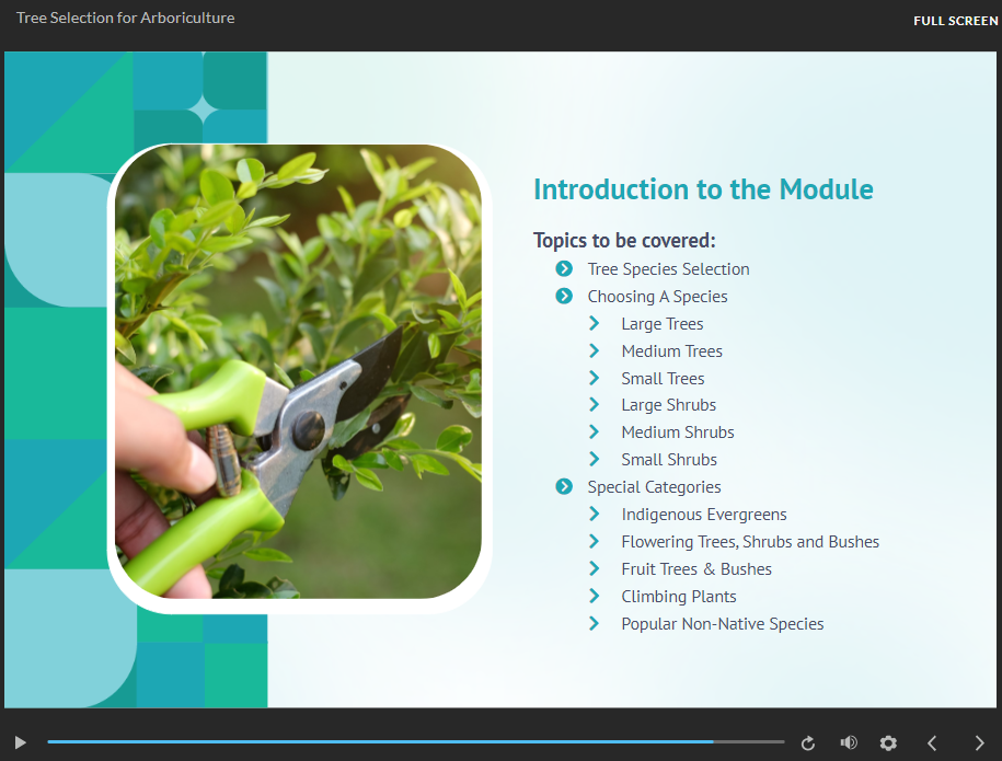 Arboriculture Online Training Academy