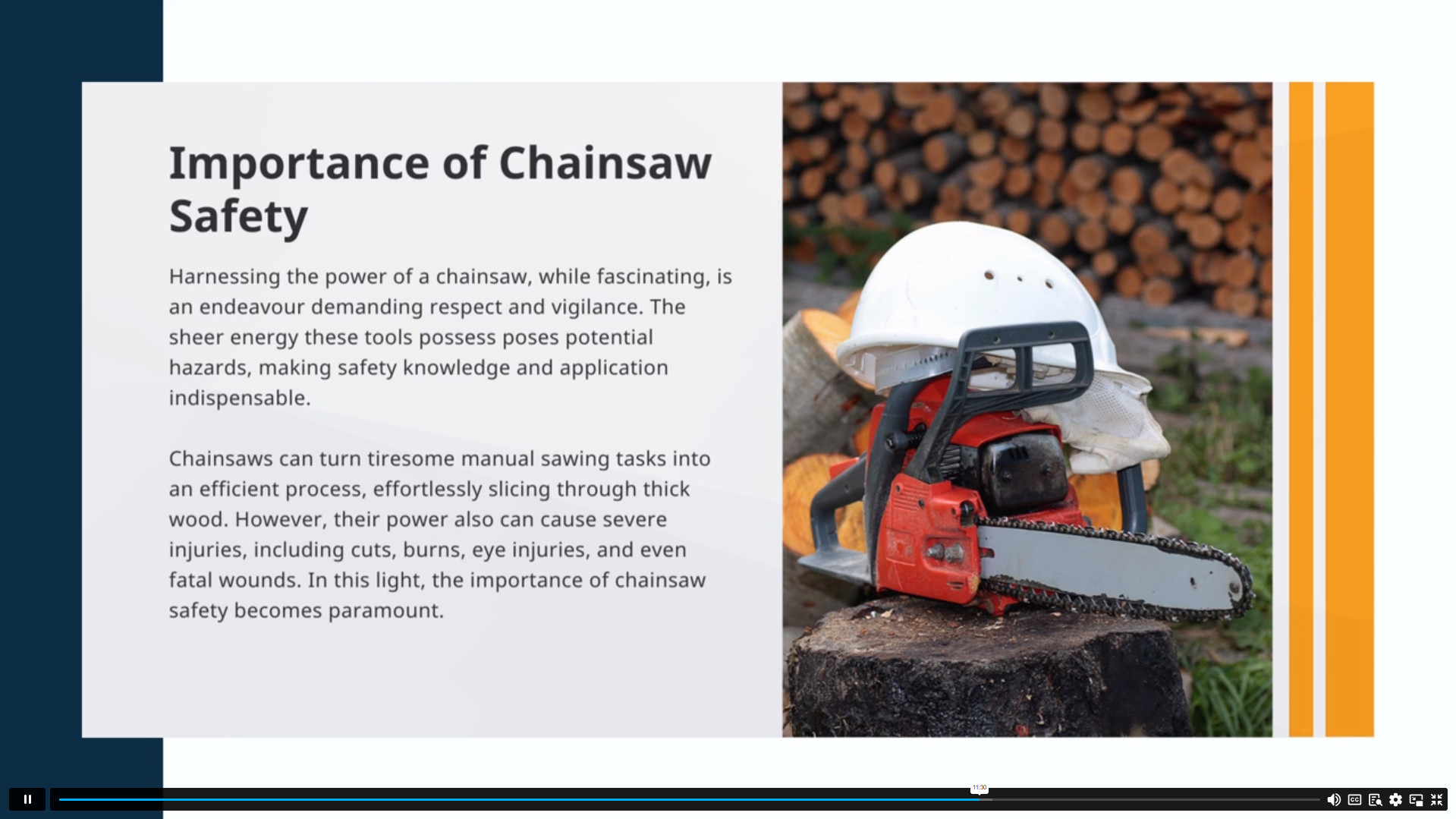 Chainsaw Safety And Maintenance Training – Online Training Academy